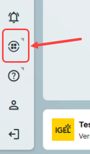 IGEL UMS 12: Basic Configuration