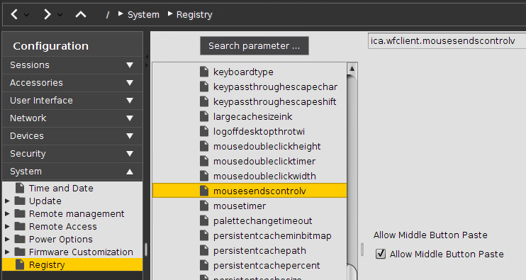 How to Change the Middle Mouse Button Function for Citrix Session and ...