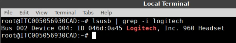How to Configure Citrix Native USB Redirection
