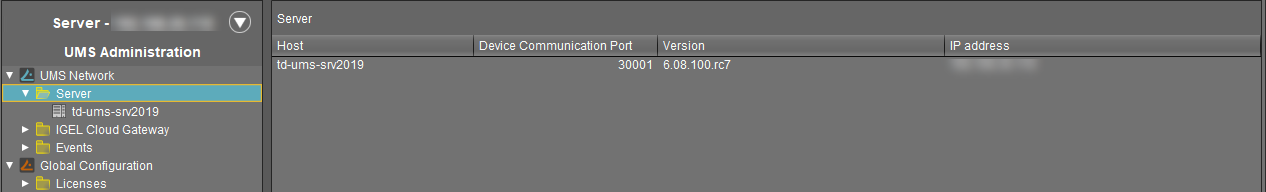 Server - View Your IGEL UMS Server Information