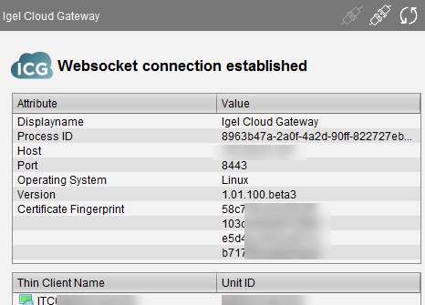 How to Connect the IGEL UMS to the ICG