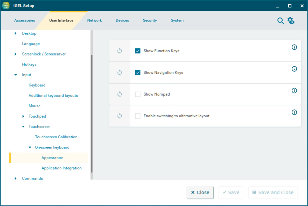 Appearance Configuration in IGEL OS 12