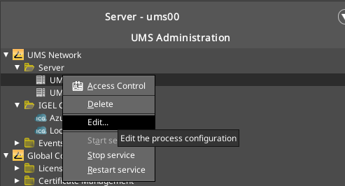 Post-Installation Configuration of the IGEL UMS Server
