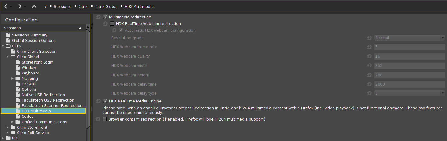 HDX Multimedia Settings for an IGEL OS Citrix Session