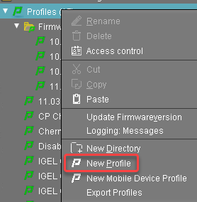 Creating a Profile for the Custom Partition