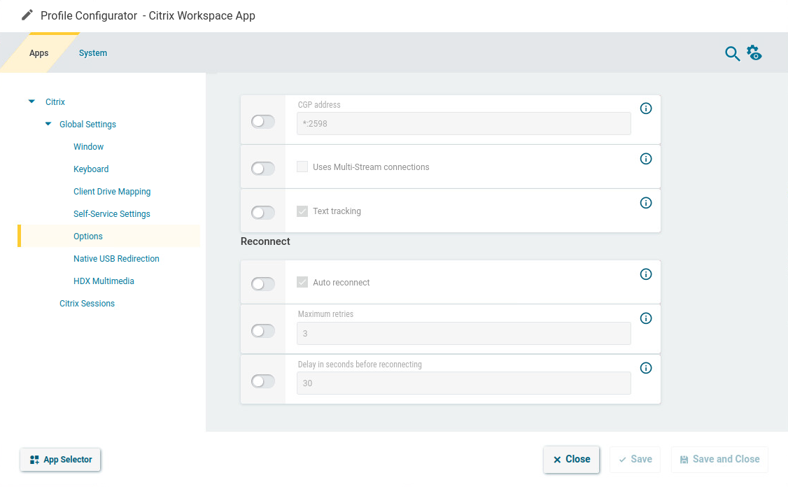 Configuration of the Citrix Workspace App on IGEL OS